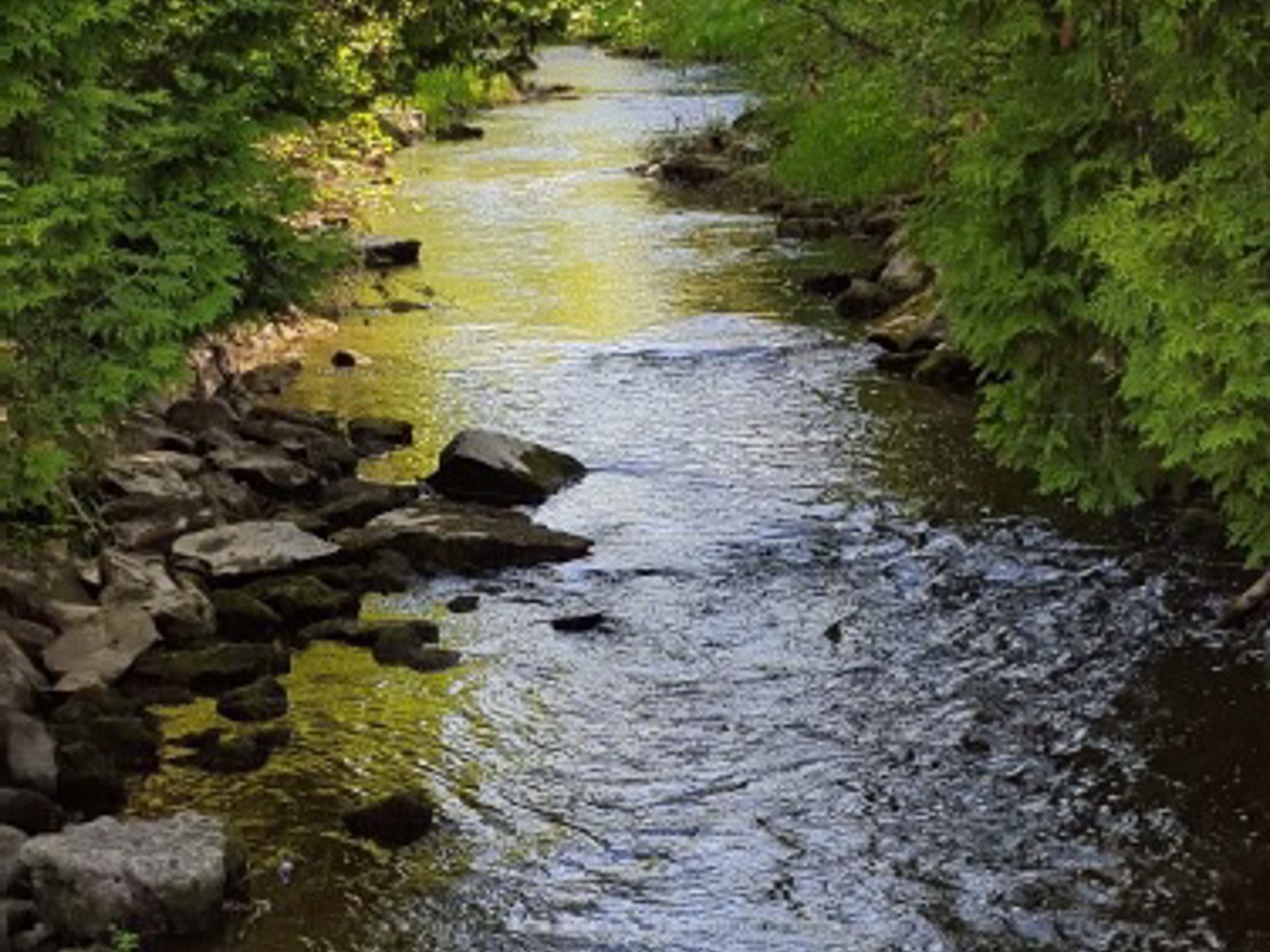 Municipal Drains | Municipality of Northern Bruce Peninsula